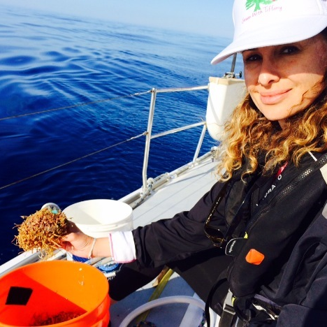Green With Tiffany On A Plastic Pollution Expedition - Bermuda To ...