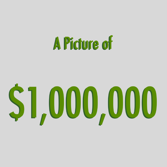 Picture of Exactly One Million Dollars by Khelton Headley - Indiegogo