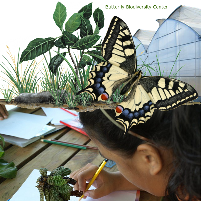 Butterfly Biodiversity Center by Kelly Freeman - Indiegogo