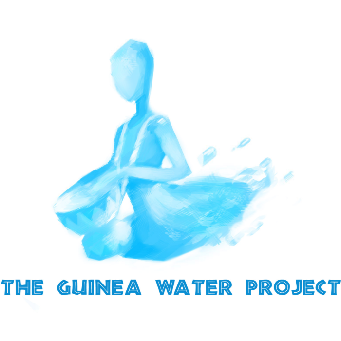 Guinea Water Project by Jonathan Silverstein - Indiegogo