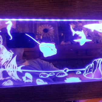 CUSTOM LED LIGHT UP PANELS by Dakota Ellery-Swain - Indiegogo
