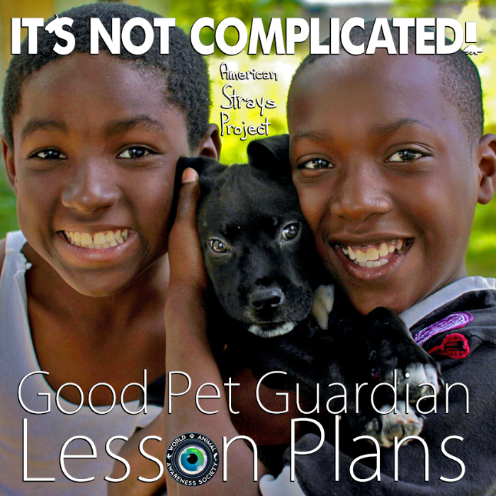 Good Pet Guardian Lesson Plans for Detroit Schools by Tom McPhee ...