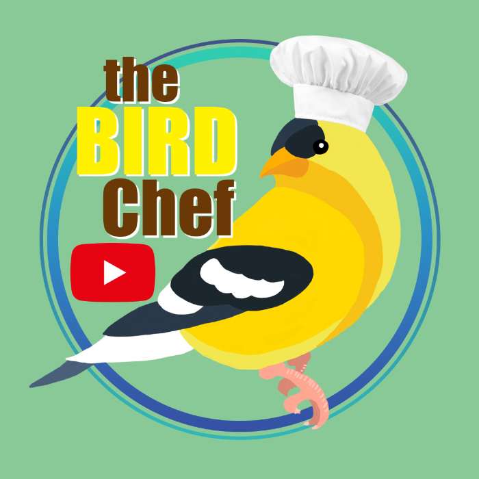 ? The BirdChef Show: by Bird Chef - Indiegogo