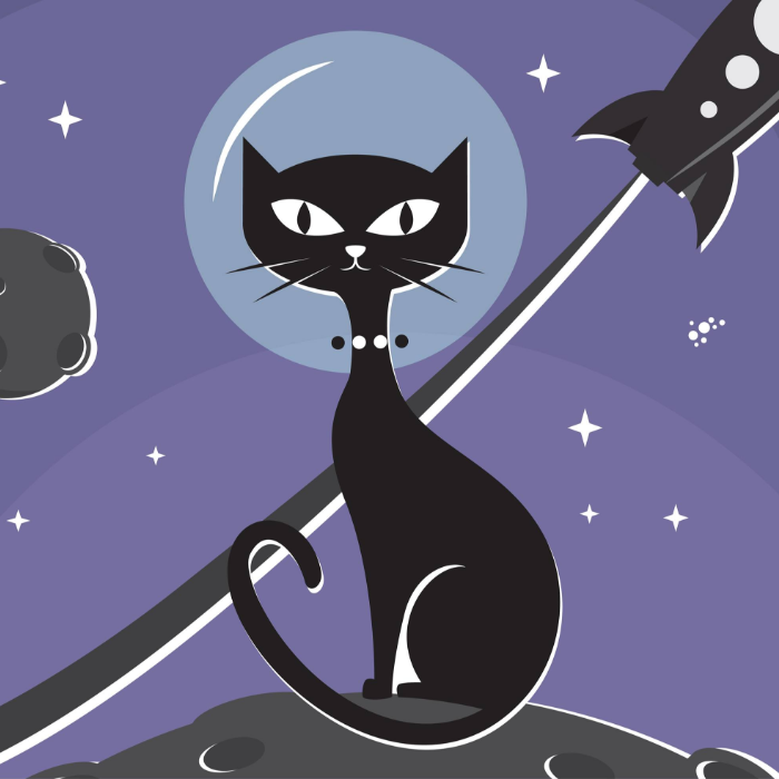 Catmosphere Sydney - Space Cat cafe by Wenee Yap - Indiegogo