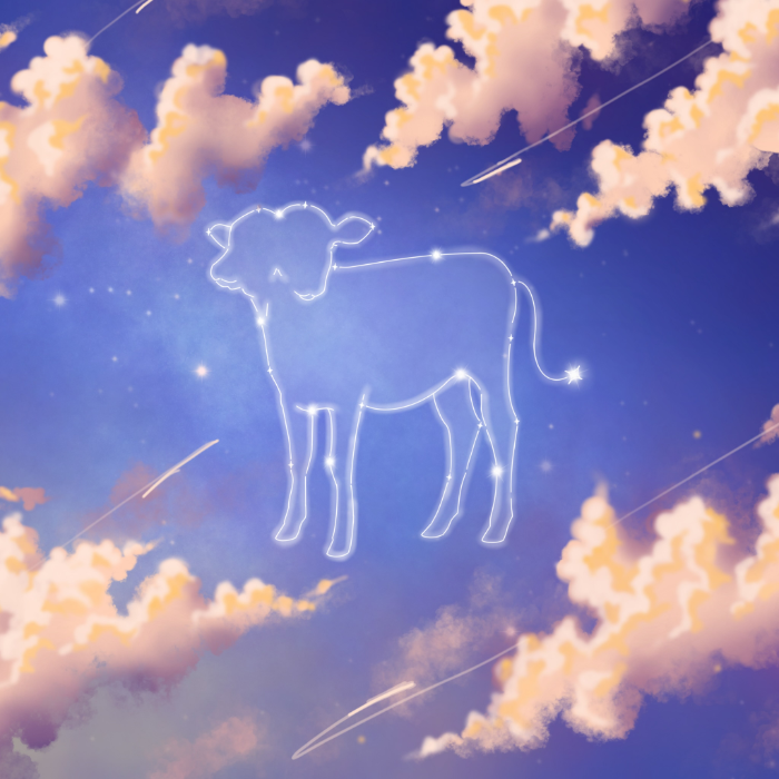 Perfect Summer Evening: A New Musical by Riley Cohen - Indiegogo