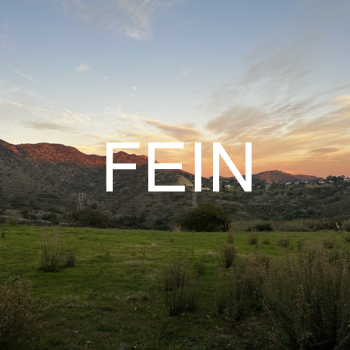 Fein by Airis Garcia - Indiegogo
