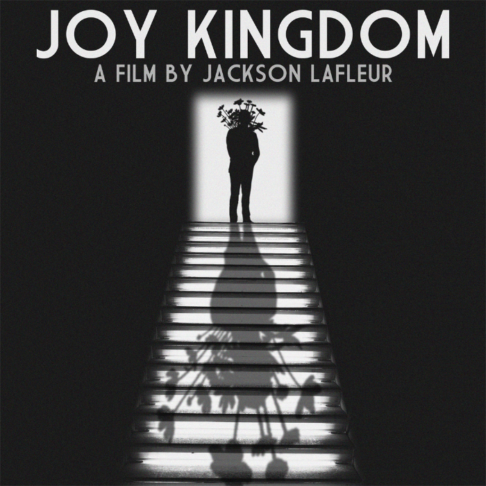 Joy Kingdom by Jackson LaFleur - Indiegogo
