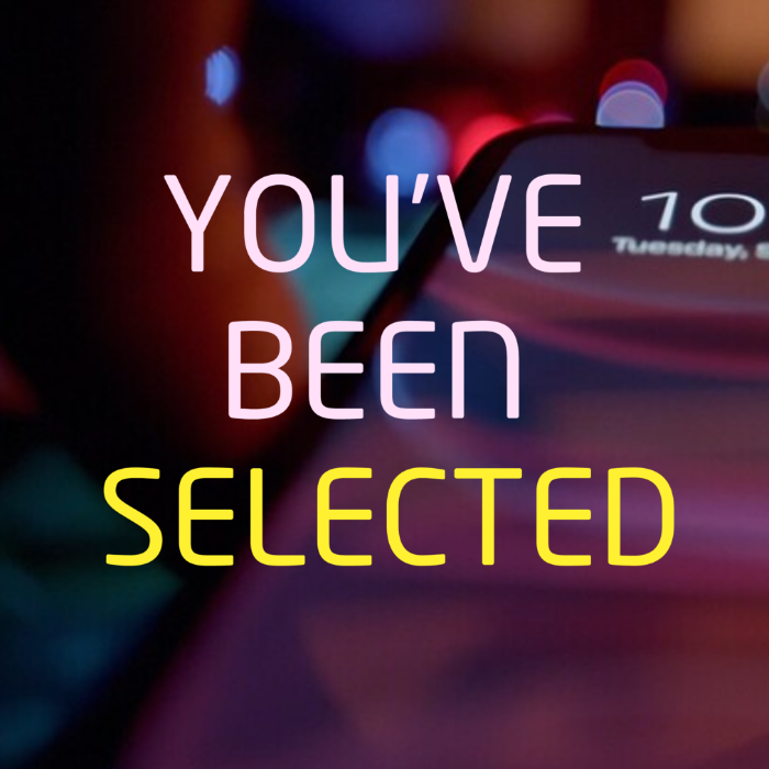 You've Been Selected by Lillie Gardner - Indiegogo