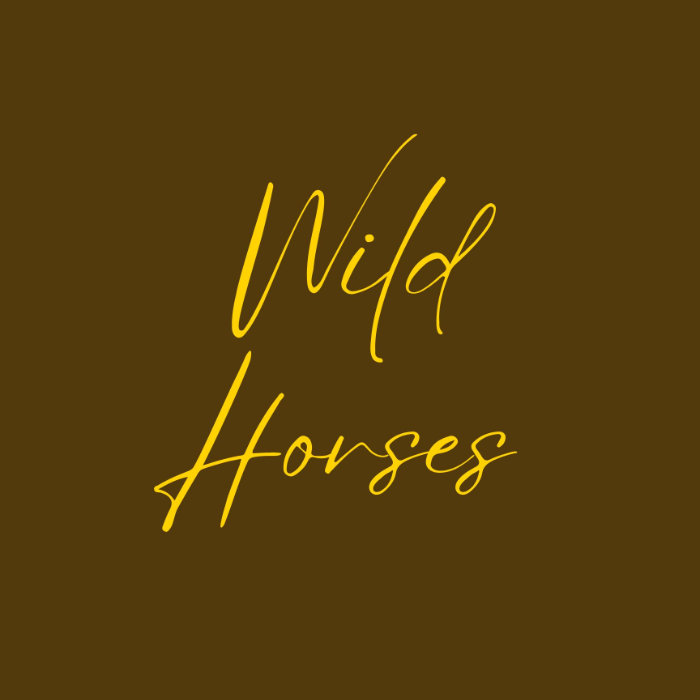 Wild Horses Crowdfunding! by Mackenzie Walsh - Indiegogo