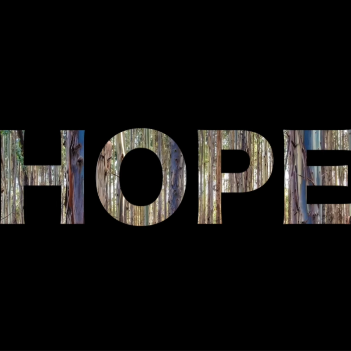 HOPE - Short Film by Elias Kosmidis - Indiegogo