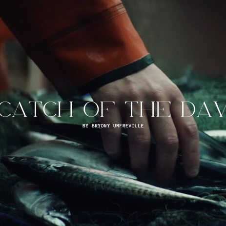 Catch of the Day by Joshua Stoker - Indiegogo