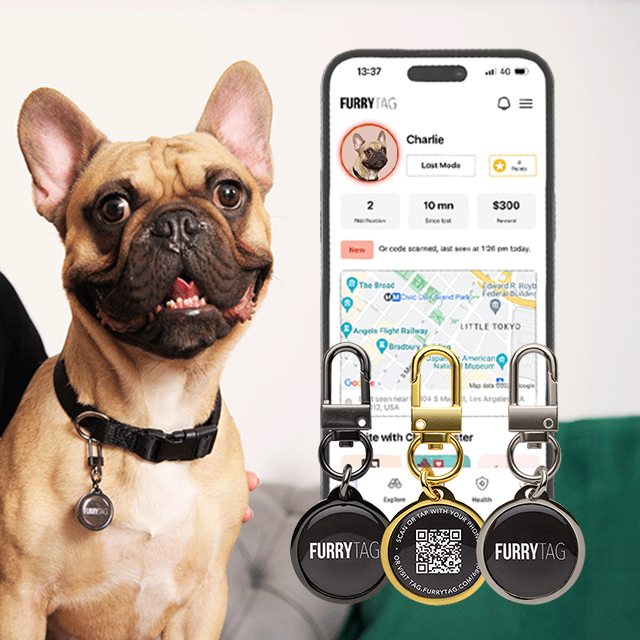 Furry Tag : The Most Advanced and Safest Pet Tag by Furry Tag - Indiegogo