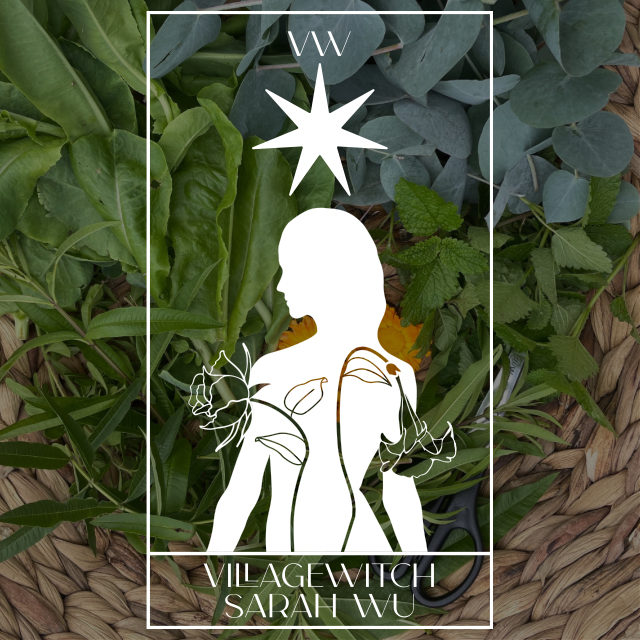 Courses with Sarah Wu, the Village Witch by sarah wu - Indiegogo