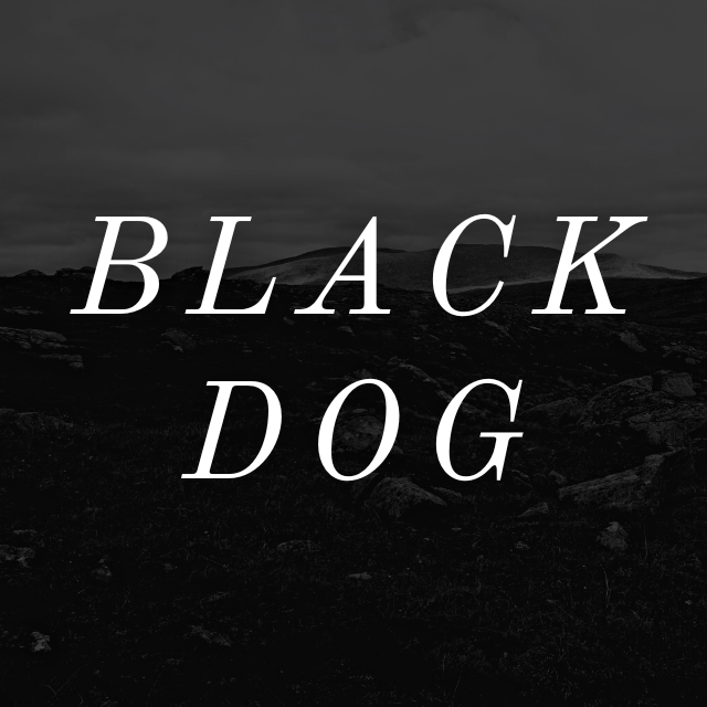 Black Dog - Short Film by Open House Pictures - Indiegogo