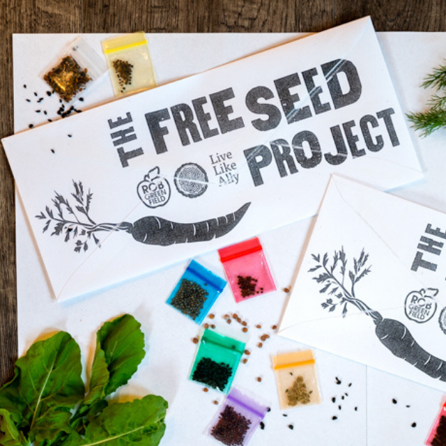 Grow Your Own Food Seed Packs! by Regeneration, Equity and Justice ...