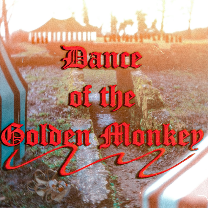 Dance of the Golden Monkey by Aila Thompson - Indiegogo