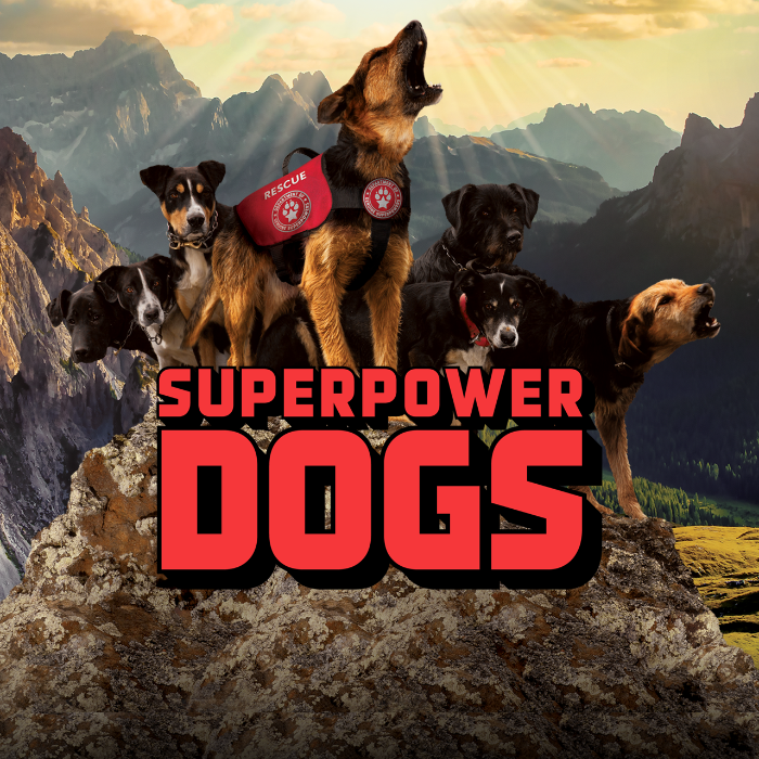SUPERPOWER DOGS by Cosmic Picture - Indiegogo