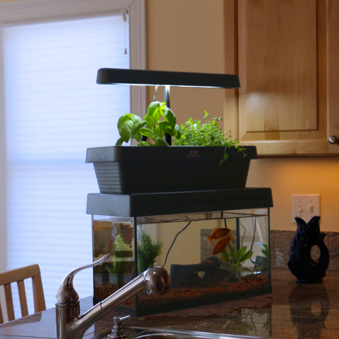 The Microfarm: Organic Gardening for Anyone by Trevor Kenkel - Indiegogo