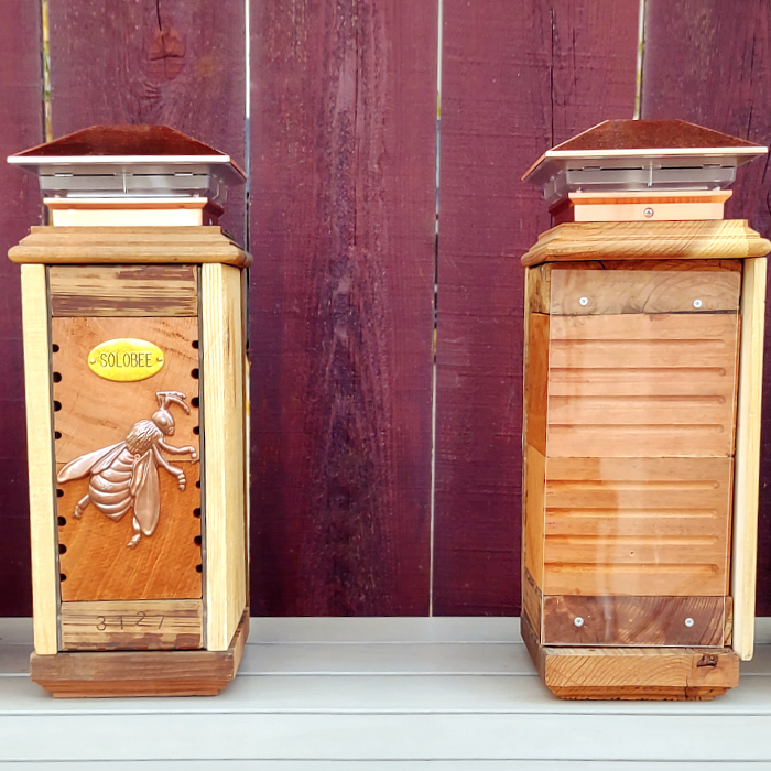 SeeBee Native Bee Observation Shelter by Candace Vanderhoff - Indiegogo