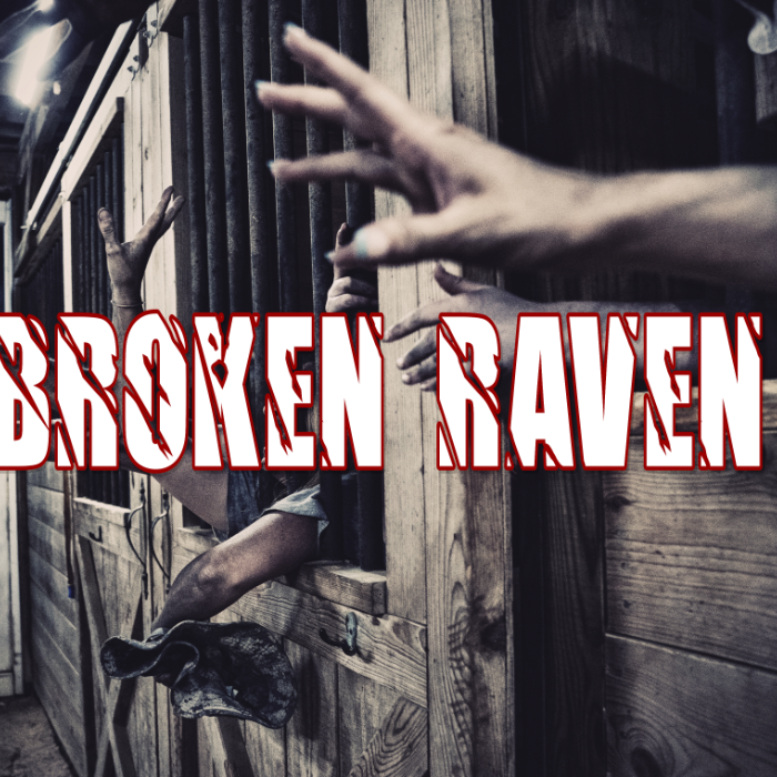 BROKEN RAVEN by Jermaine nix - Indiegogo