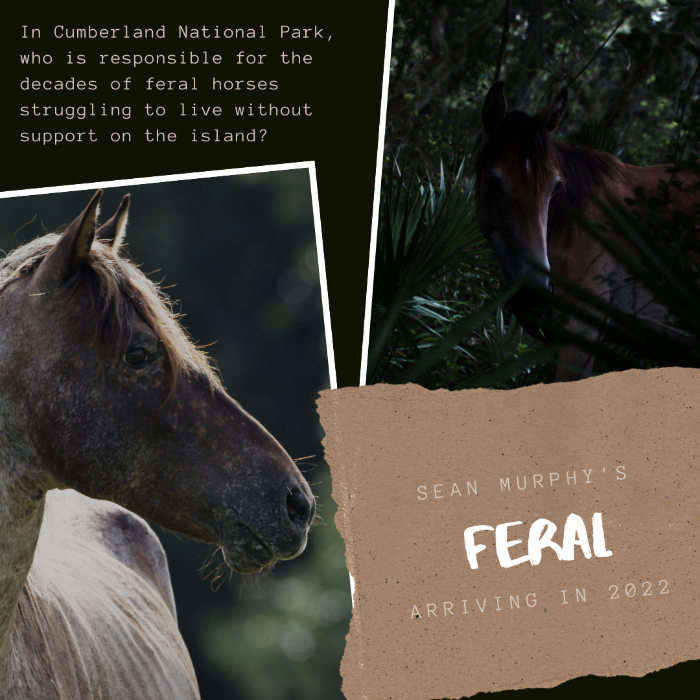 Feral Documentary by Harper Brock - Indiegogo