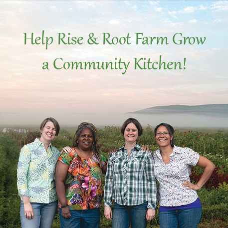 Rise & Root Farm: Grow a community kitchen! by Rise & Root Farm - Indiegogo