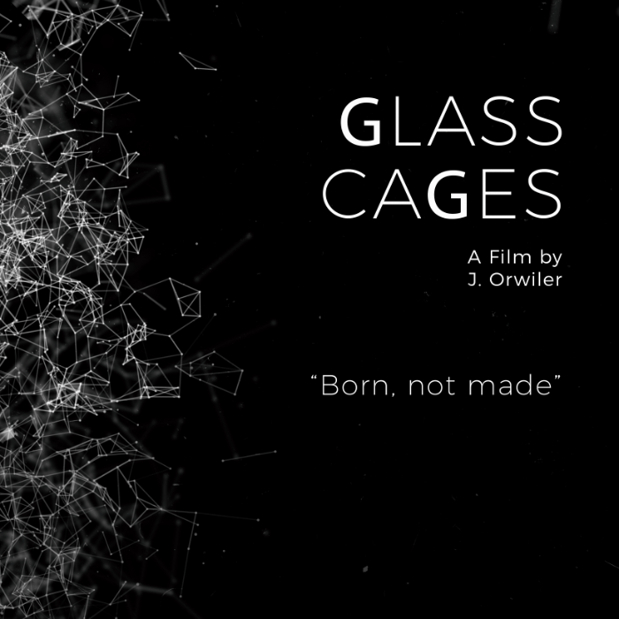 Glass Cages by Johannah Orwiler - Indiegogo