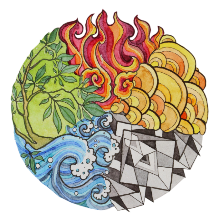 5 elements card game by Karlijn Eickmans - Indiegogo