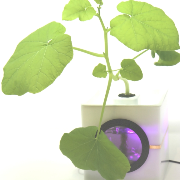 VictoryGrow PowerPots -designer growing systems by Nicholas Outram ...