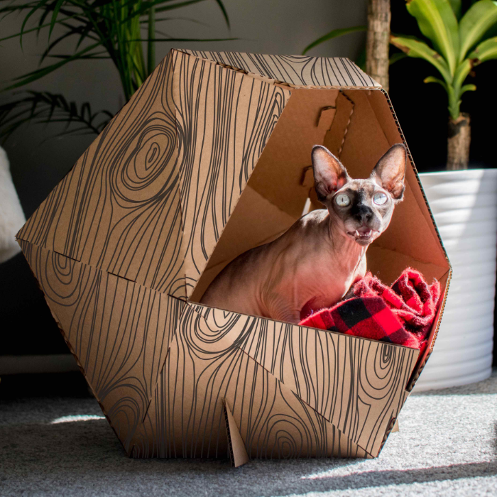 Boxie Pet Homes for Cats and Dogs by Mikey Muirhead - Indiegogo