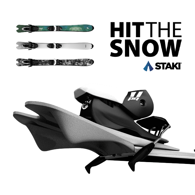 STAKI CONTROLS - skis for stability & performance by David Rubek ...