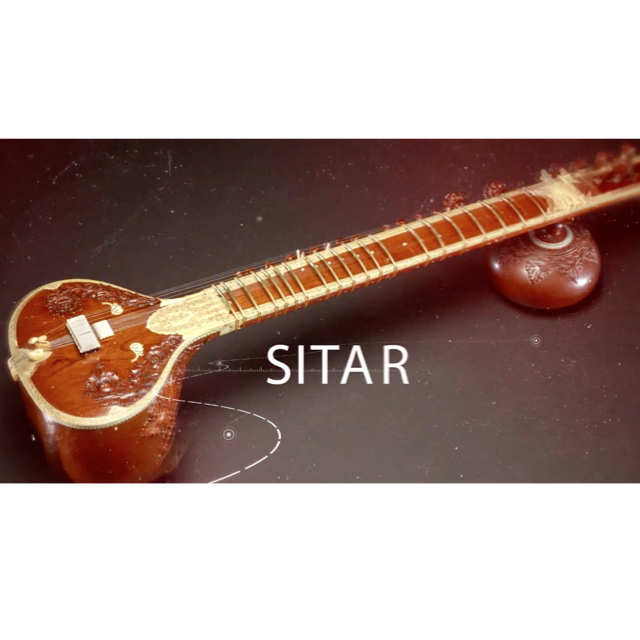 The Sitar, the research of a magical instrument. by Ana Carolina Avila ...