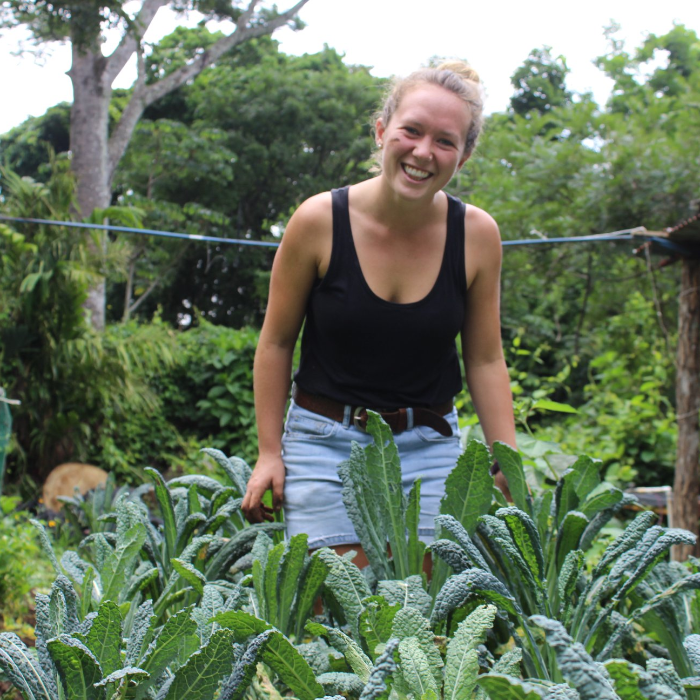 Garden for Peace by Olivia Sylvester - Indiegogo