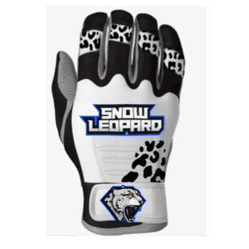 SNOW LEOPARD SPORTS HEATED BATTING GLOVES by Evan Oaks - Indiegogo