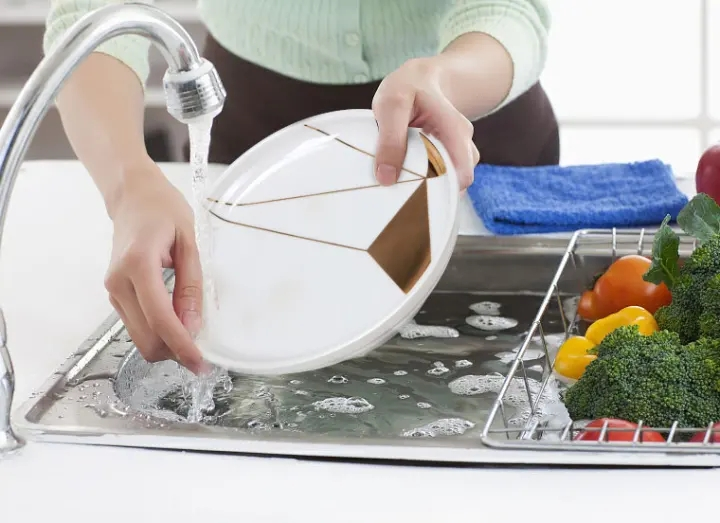 The World's First Rechargeable Self-heating Plate by YouGan - Indiegogo
