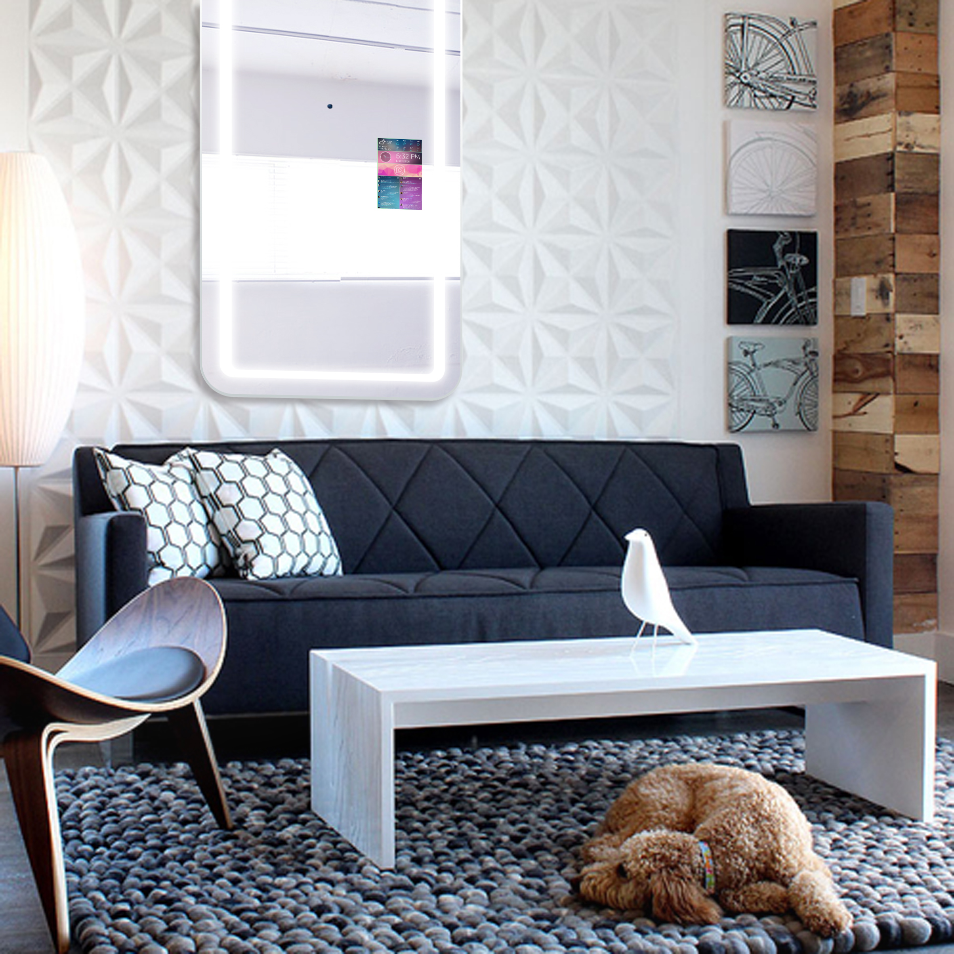 Selfiemirror the first smart mirror by Karina Shemyakina - Indiegogo
