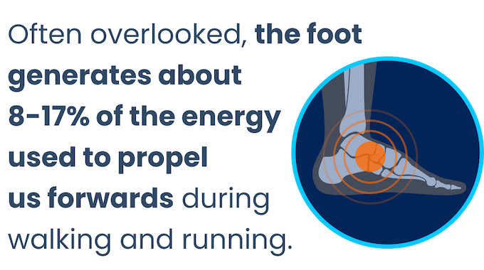 Novabow Foot Strengthening System by Gerrard Farrell - Indiegogo