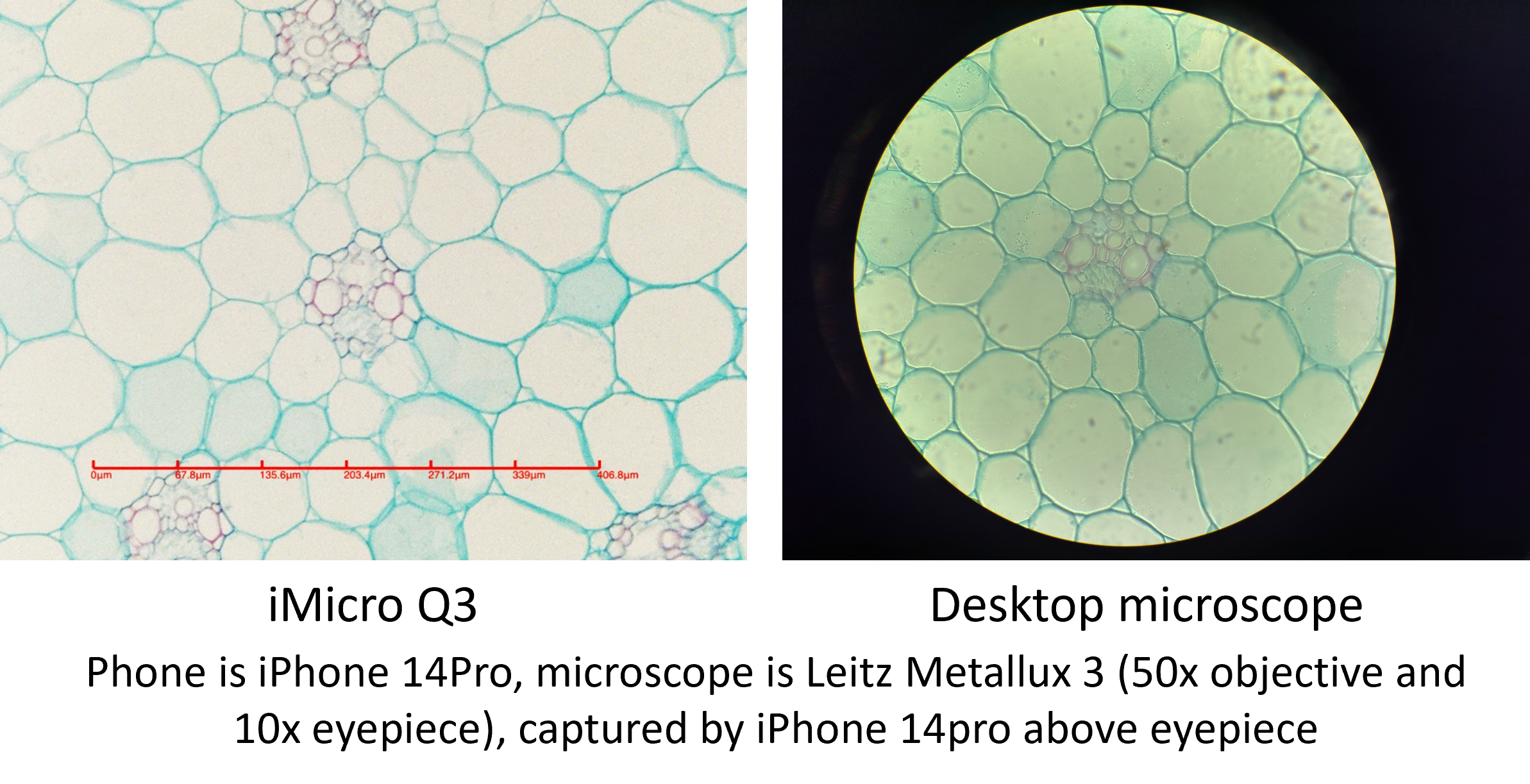 iMicro Q3 - A microscope toward the Optical Limit by QingYing E&T LLC ...