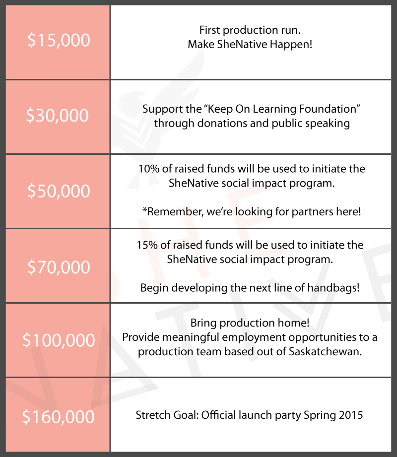 SheNative: Creating a Positive Impact on HerStory! by Devon Fiddler ...